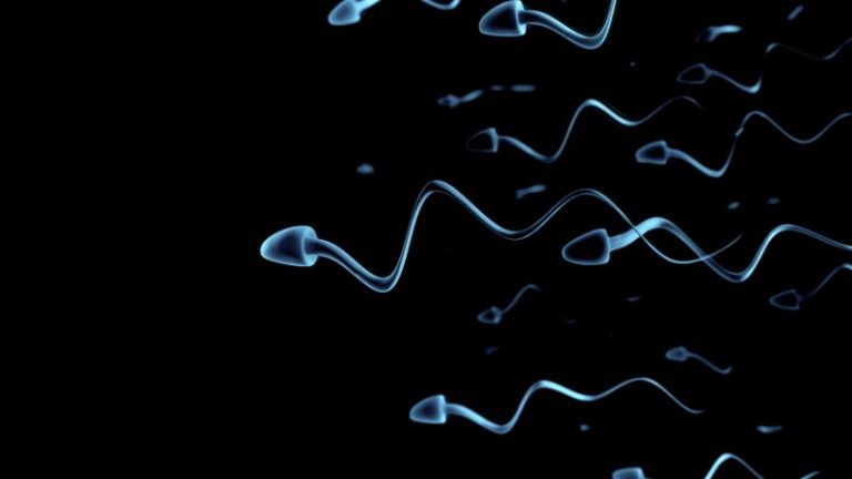 Sperma-Flecken entfernen: So klappt's ohne Probleme!